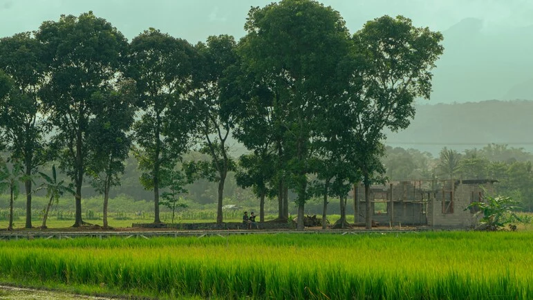 Top Nature Attractions in Semarang