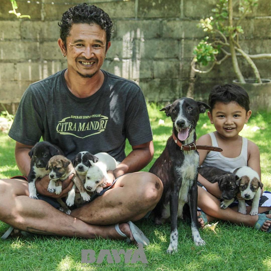 6 ANIMAL RESCUE GROUPS IN BALI | What's New Indonesia